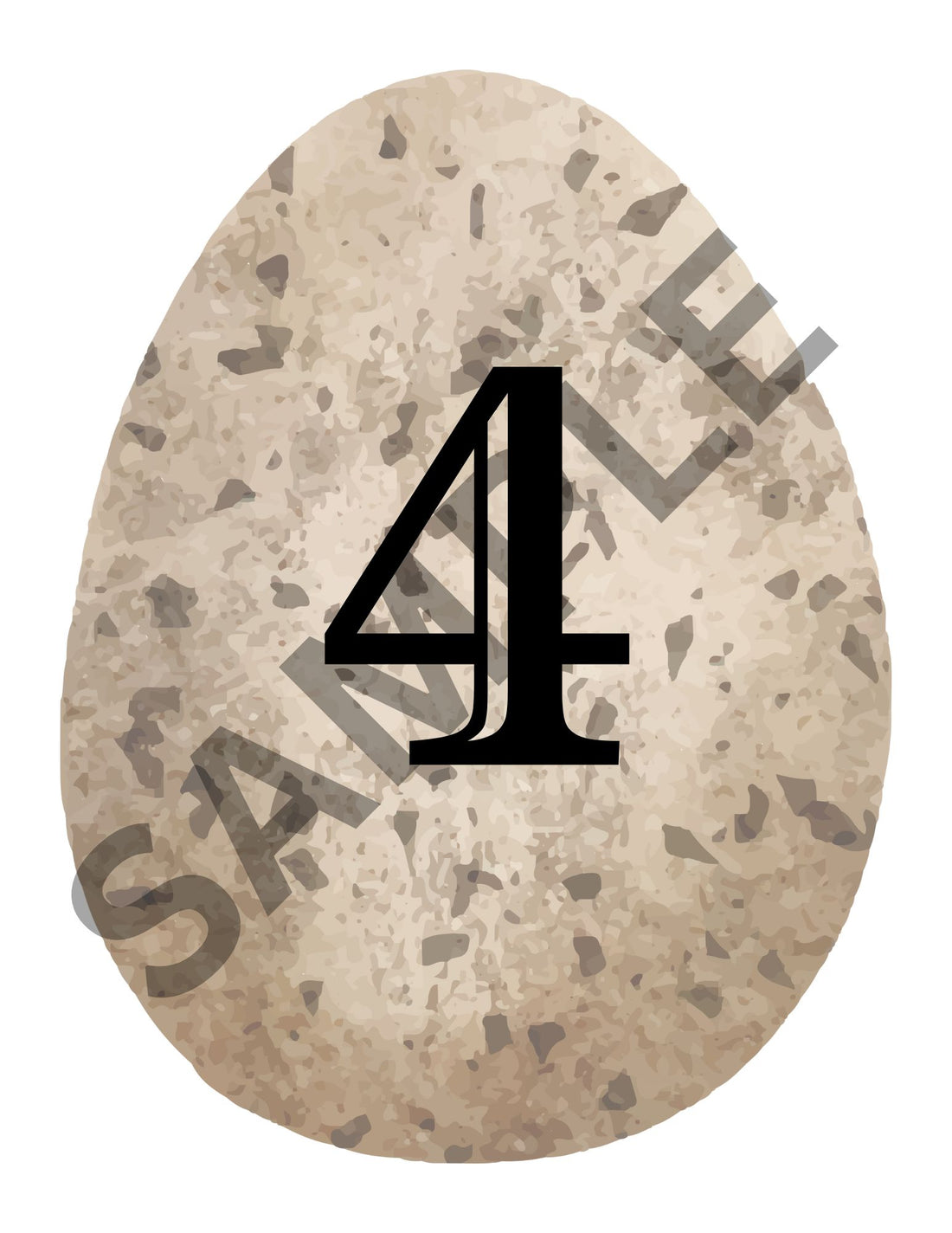 Dinosaur Egg Flashcard Set – Nuggets of Wisdom