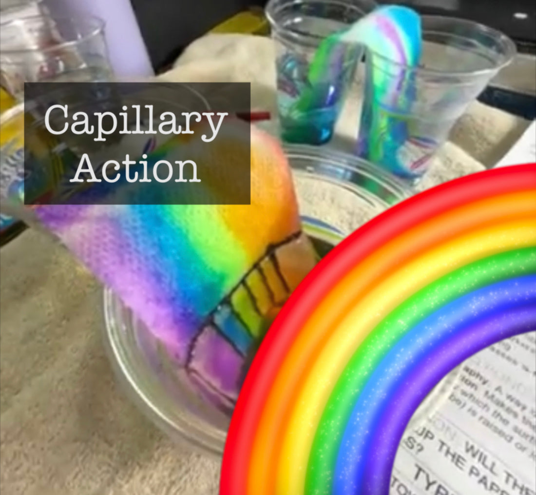 Hot Chocolate Science Experiment Journal & Step-By-Step Instructions ...