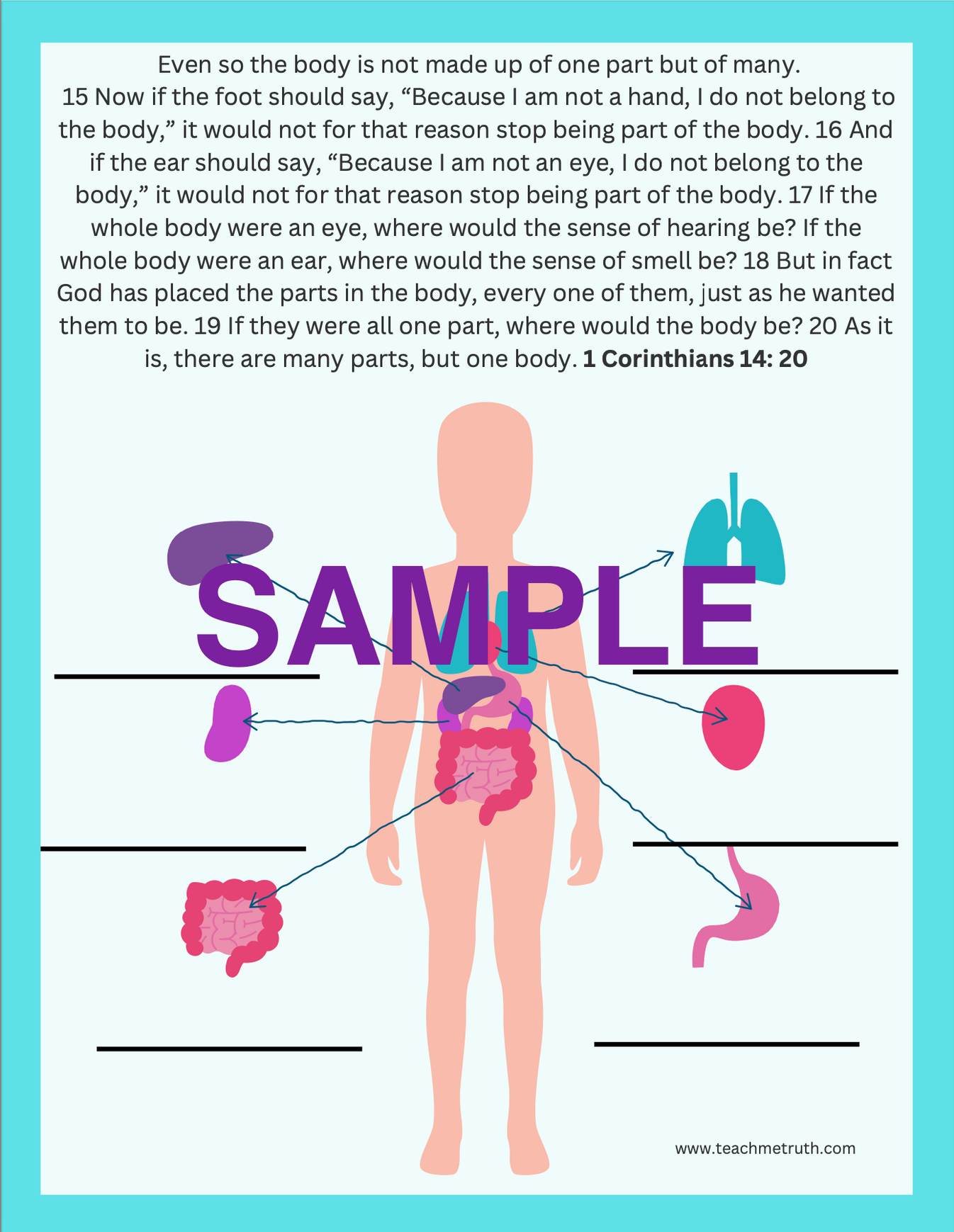 Body of Christ Worksheets (1 Corinthians 12) – Nuggets of Wisdom